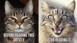 Tackling on Embedding Apache Superset to your React app