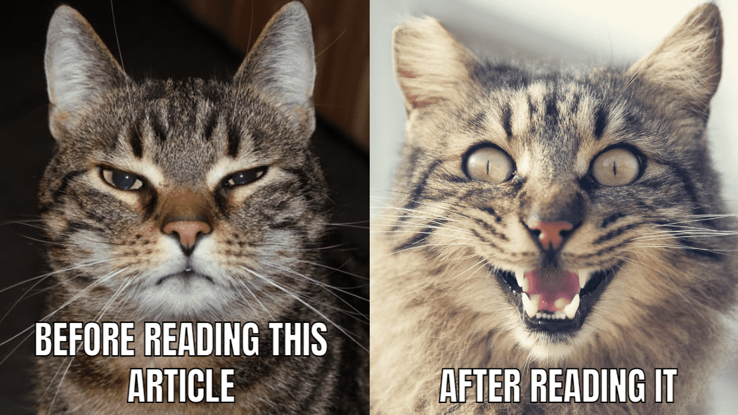 Tackling on Embedding Apache Superset to your React app